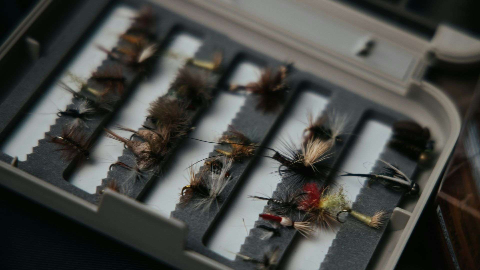 How to Pick the Right Lure for Fly Fishing